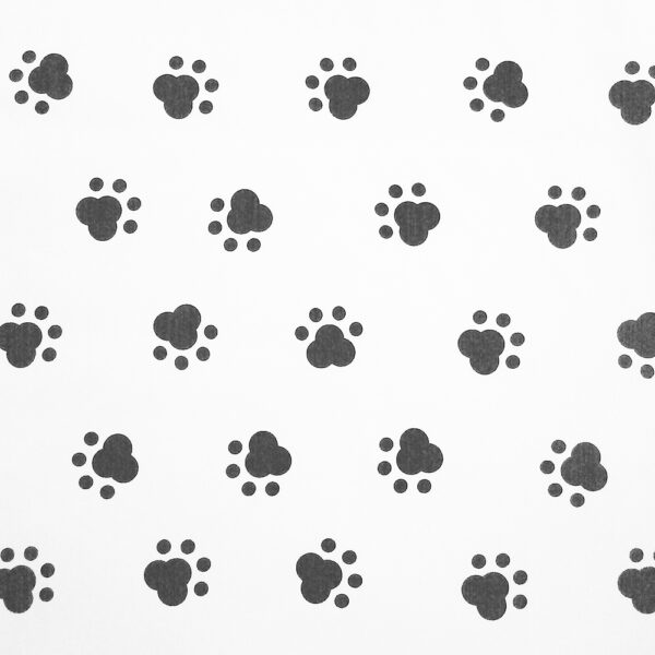 Print - Paw Prints - X-Ray Aprons